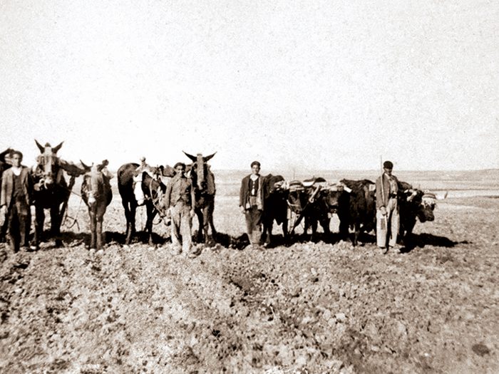 Propiedad comunal archivos - Museo de Ecología Humana : Museo de ...